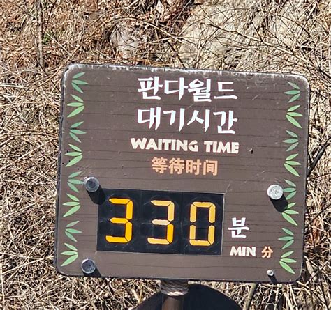 오늘자 에버랜드 푸바오 역대급 대기시간 ㄷㄷㄷ