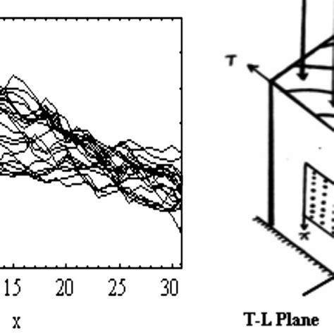 The Structure Of The Stochastic Neural Network Snn Download