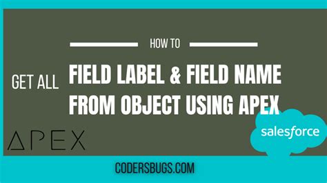 Lightning Layout With Scrollable Fields Codersbugscom