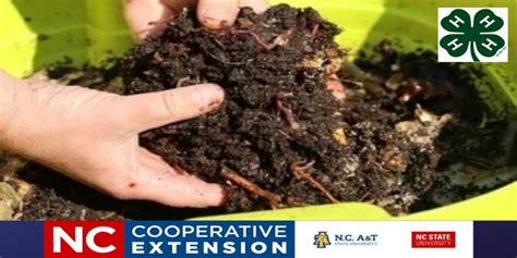 Basics Of Vermicomposting N C Cooperative Extension