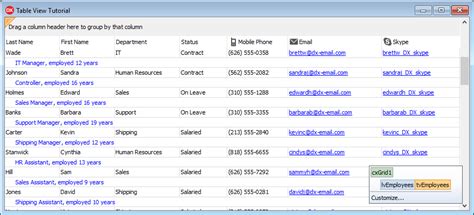 table view tutorial step 2 enable user friendly content and layout vcl devexpress