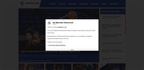 · Issue 11129 · Ublockoriginuassets · Github