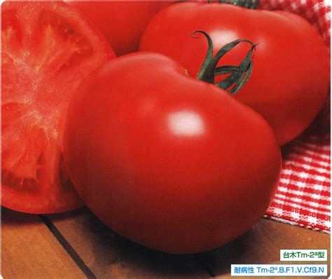 ホーム桃太郎ex写真