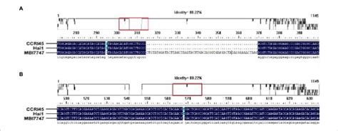 Analysis Of Sequencing Results Showing Different Snps And Indel In