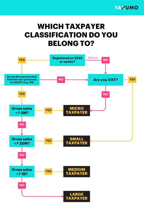 Bir Taxpayer Classification Under The New Rr No 8 2024 Bir Taxpayer Classification Under The New Rr No 8 2024