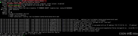 Linux环境离线安装dockeranddocker Compose 大数据 And Ai 清泛网 专注cc及内核技术