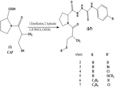 Chemical Structures Of Thiosemicarbazide Captopril Derivatives 2 7 23 Download Scientific