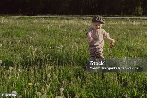 시골의 여름 들판을 돌아 다니는 활동적인 행복한 유아 소년 2 3 살에 대한 스톡 사진 및 기타 이미지 2 3 살 녹색 아이 Istock
