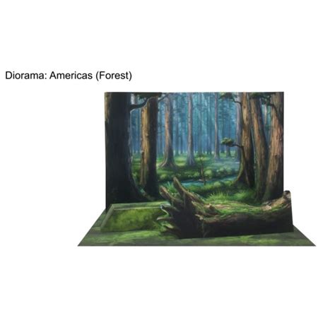 โมเดลกระดาษ 3d ฉากหลัง 3d ป่าอเมริกา Americas Forest กระดาษโฟโต้เนื้อด้าน กันละอองน้ำ ขนาด