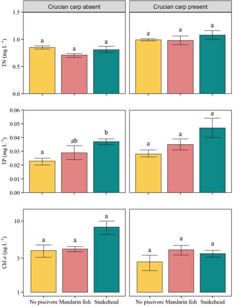 Tn Tp And Chl A Concentrations In The Different Treatments At The End Download Scientific