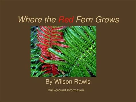 Ppt Wilson Rawls The Man Behind Where The Red Fern Grows Powerpoint