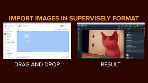 Github Supervisely Ecosystemimport Images In Sly Format Import Images With Annotations In