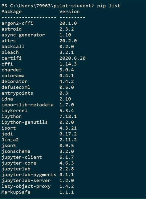 Jupyter Lab 运行不成功 · Issue 1401 · Neoleepilot · Github