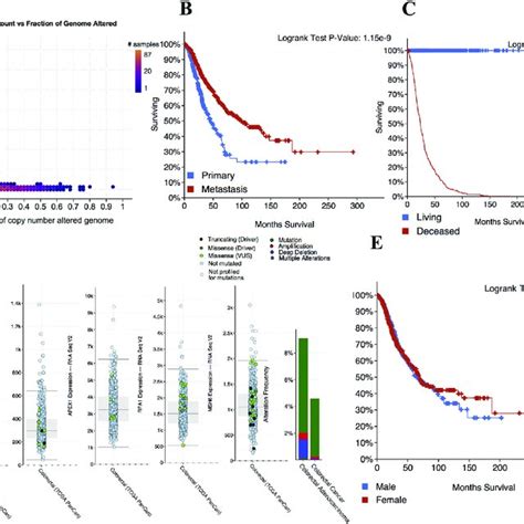 A Overview Of Clinical Attributes And A Scatter Plot Of Mutation