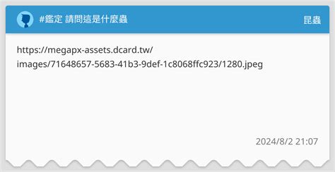 鑑定 請問這是什麼蟲 昆蟲板 Dcard