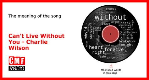The Story And Meaning Of The Song Cant Live Without You Charlie