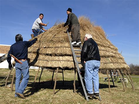Native Switchgrass Shows Its Strength News Sports Jobs Lawrence