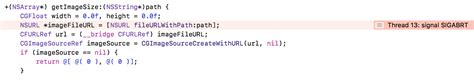 Ios Sigabrt In Xcode When Trying To Init A Nsurl Path Stack Overflow