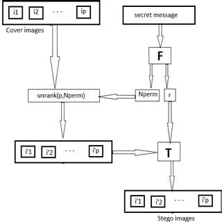 The Graphical Representation Of The Embedding Process Download Scientific Diagram