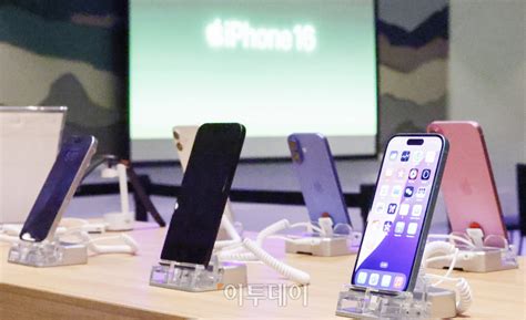 아이폰에 물으면 챗gpt가 답한다애플 Ai 추격 박차