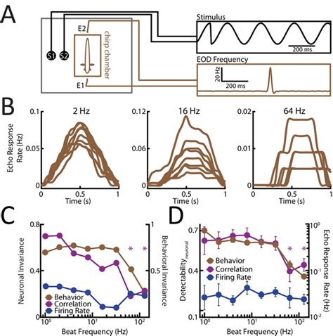 Figures And Data In Stimulus Background Influences Phase Invariant Coding By Correlated Neural