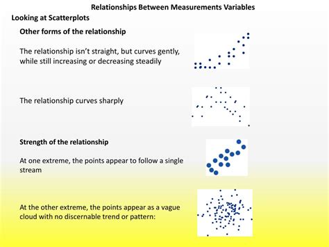 PPT Relationships Between Measurements Variables PowerPoint Presentation ID