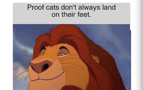 40 Depressing Memes That Will Make You Feel Strangely Better