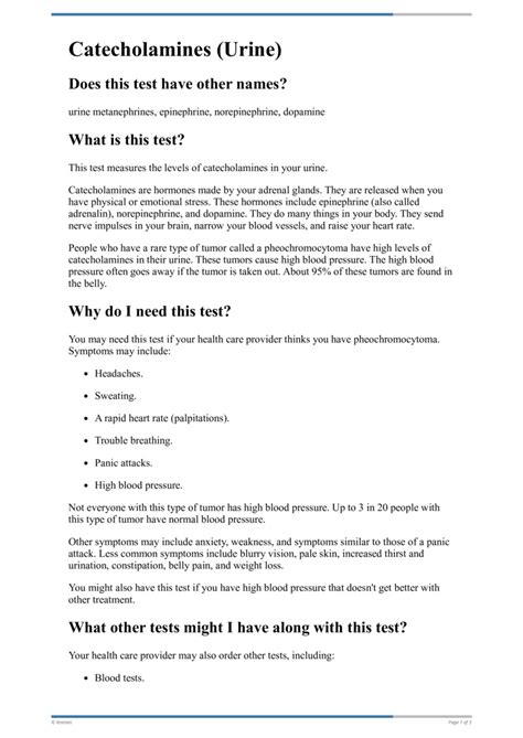 Catecholamine Urine Test Instructions At Debra Lunsford Blog