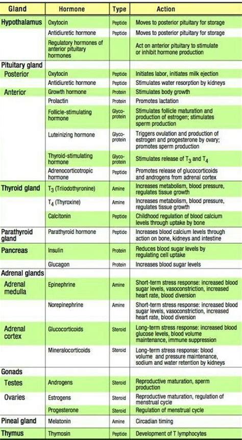Cell Structure And Function Cheat Sheet Artofit