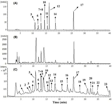 Lc Uv Ms Chromatograms For The Alkaloid Standards And The Download Scientific Diagram
