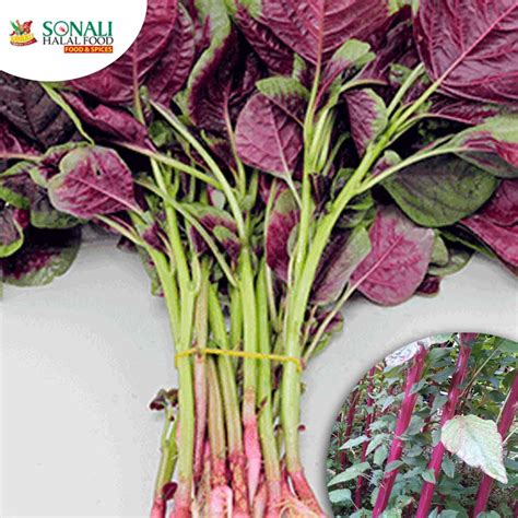 Fresh Data Stem Of Green Amaranth Sonali Halal Food And Cafe