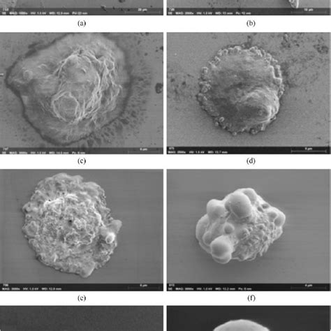 Feg Sem Edx Image Of An Impact Disrupted Gsr Particle Showing Download Scientific Diagram