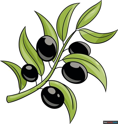Olive Tree Branch Drawing How To Draw An Olive Branch Really Easy