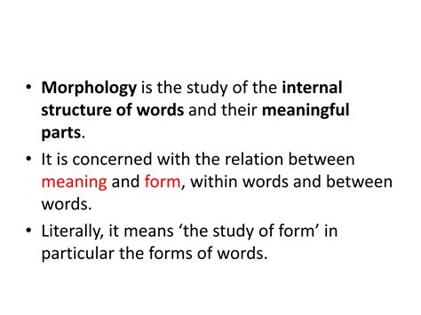 Solution Morphology With Practice Studypool