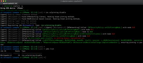 all about ssl pinning bypass ninad mathpati