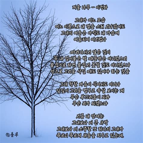 겨울 좋은시 모음 겨울에 관한 시 이미지 모음