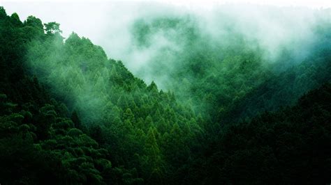 Sig Carbon Aggregation Program Sig Spatial Informatics Group