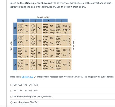 Solved Provide The Complementary MRNA Sequence Based On The Chegg