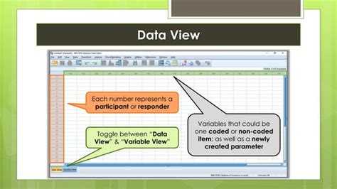 Spss Series Data Entry And Coding Pdf