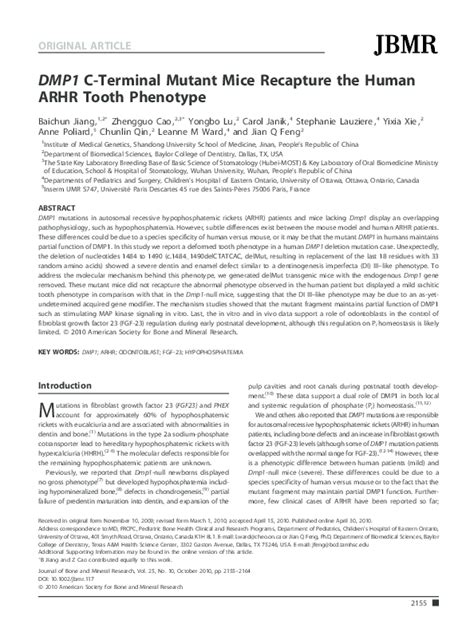 Pdf Dmp1 C Terminal Mutant Mice Recapture The Human Arhr Tooth Phenotype