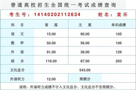 普通高校招生全国统一考试成绩查询 Word文档在线阅读与下载 无忧文档