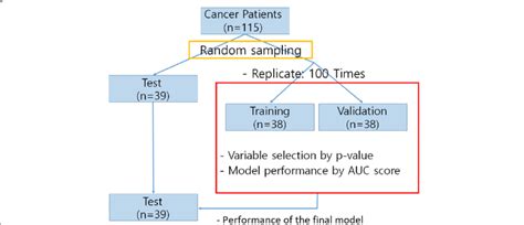 Sample Separation For Training Validation And Test Sets Download