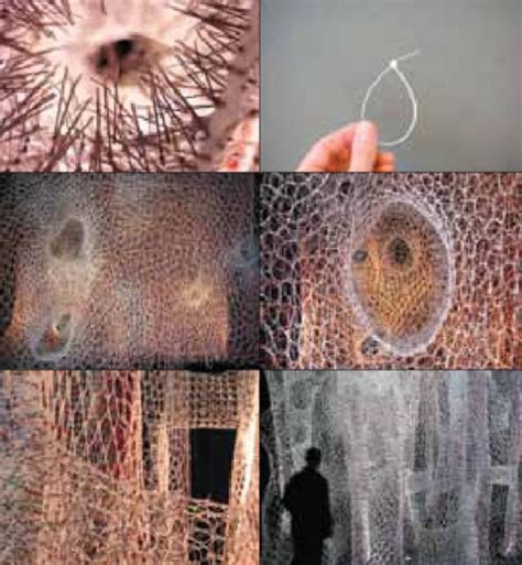 Matrix Architecture Parametric House Matrix Architecture Parametric House