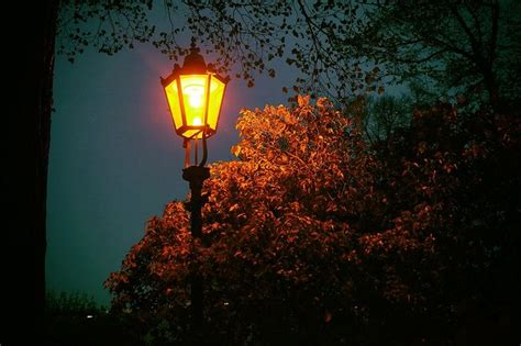 Pin By Victoriya Dimitrushkova On ••• ♦♦♦ Speciosa Picture ♦♦♦