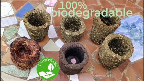Macetas Biodegradables Con Restos De Yerba Café Y Cebollas Sirven