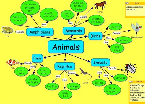 Habitat Mind Map At James Hite Blog