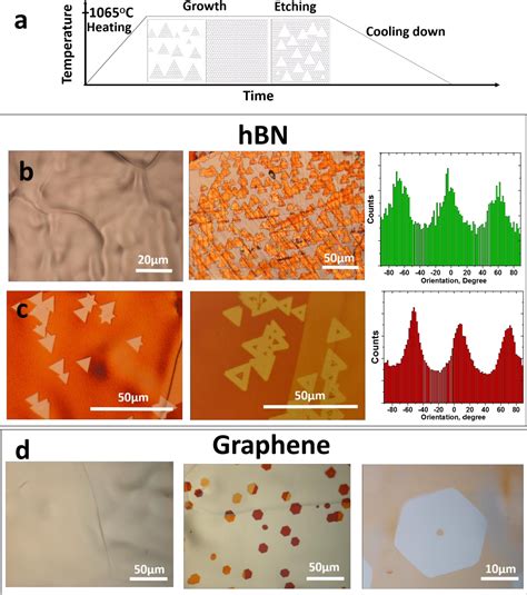 Figure 5 From Anisotropic Etching Of Hexagonal Boron Nitride And Graphene Question Of Edge