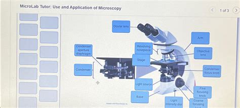 Solved Microlab Tutor Use And Application Of Microscopy1