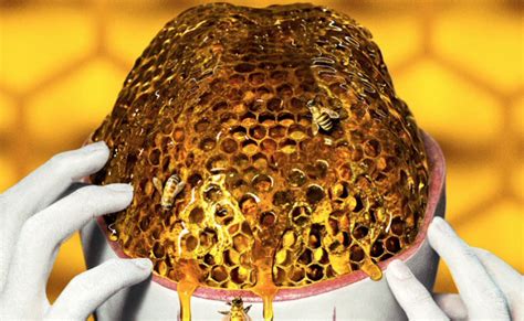 Holes In Skin Disease Trypophobia