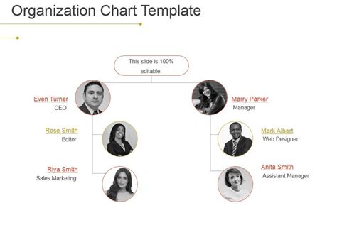 Organization Chart Ppt PowerPoint Presentation Model Graphic Images